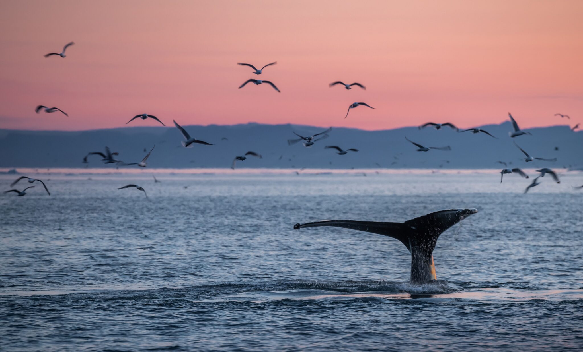 Things to Do in Pleasant Bay, Cape Breton: Your Guide to Adventure and ...